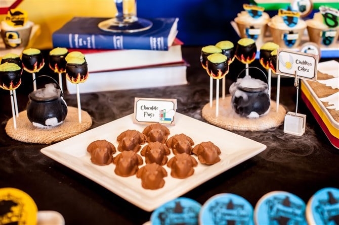 Kids Birthday Party Ideas - Harry Potter Inspired - Canvas Factory